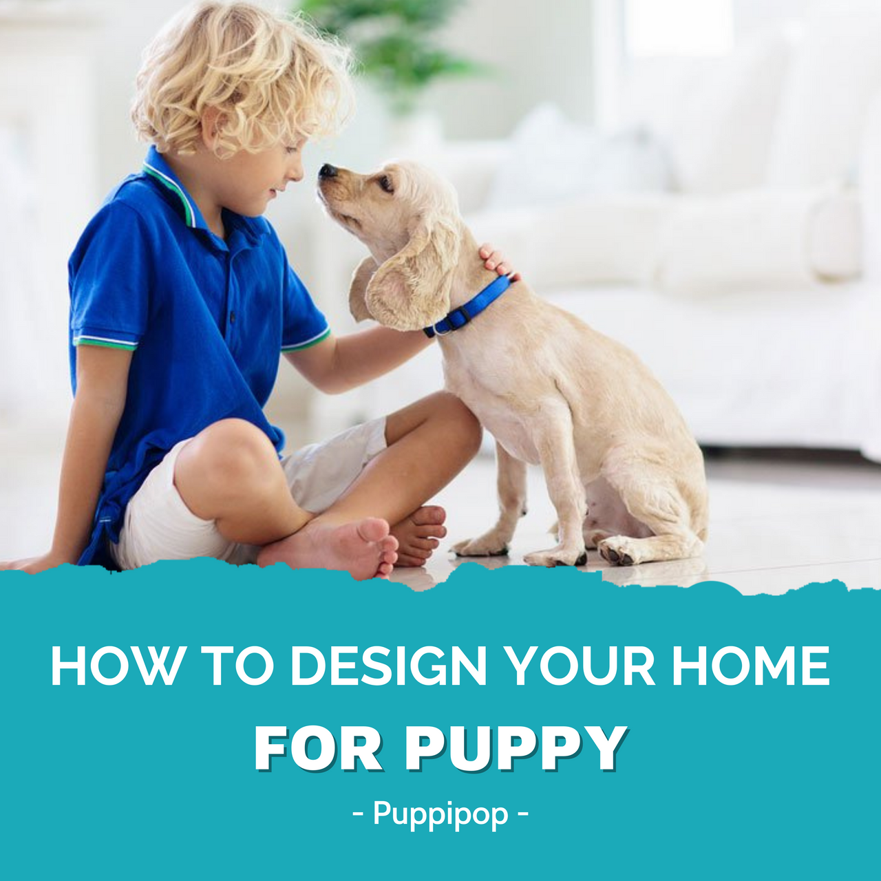 HOW TO DESIGN YOUR HOME FOR PUPPY – Puppipop