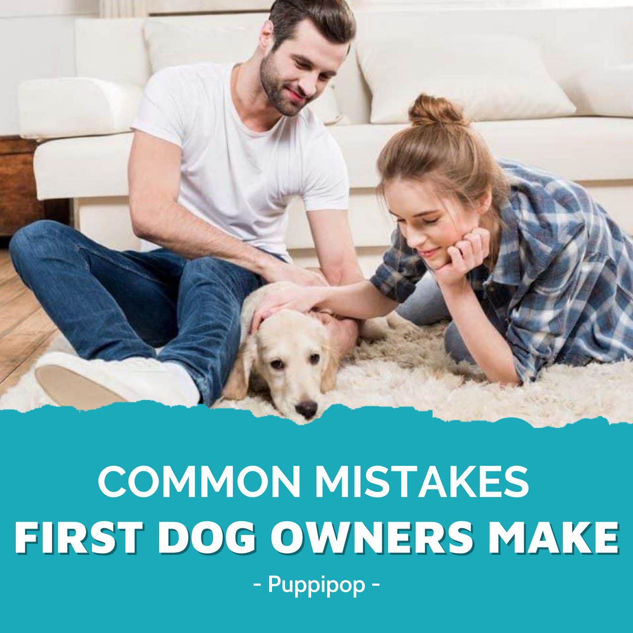 COMMON MISTAKES FIRST DOG OWNERS MAKE – Puppipop