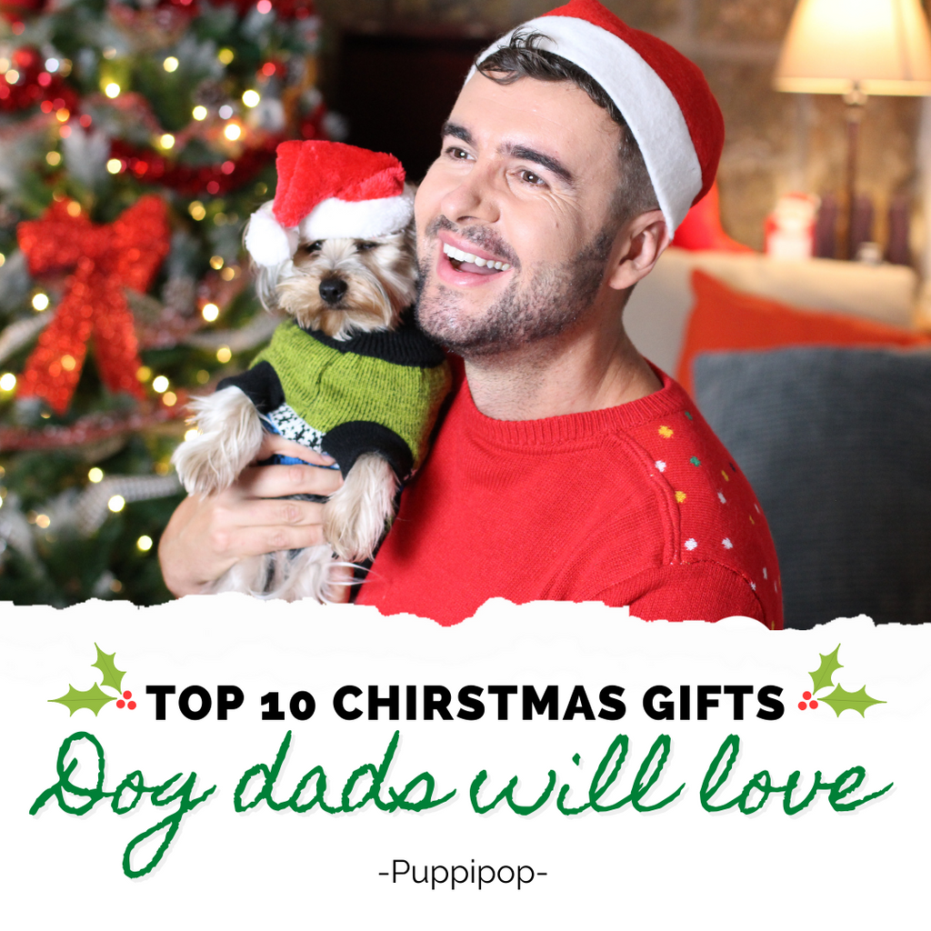 TOP 10 CHRISTMAS GIFT ALL DOG DADS WILL LOVE – Puppipop